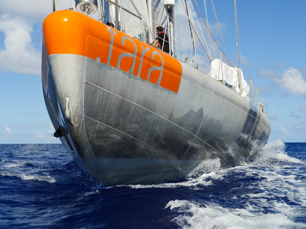 Tara Océan : des expéditions scientifiques exceptionnelles pour ...